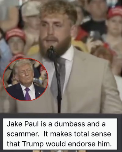 Donald Trump just officially endorsed boxing YouTuber Jake Paul for ...