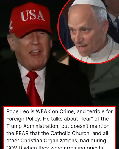 This forensic rebuttal of Trump's unfettered rant against Pope Leo just ...