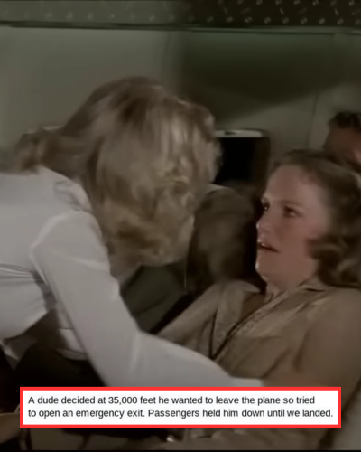 What’s the craziest thing you’ve seen someone do on a plane? - 17 ...