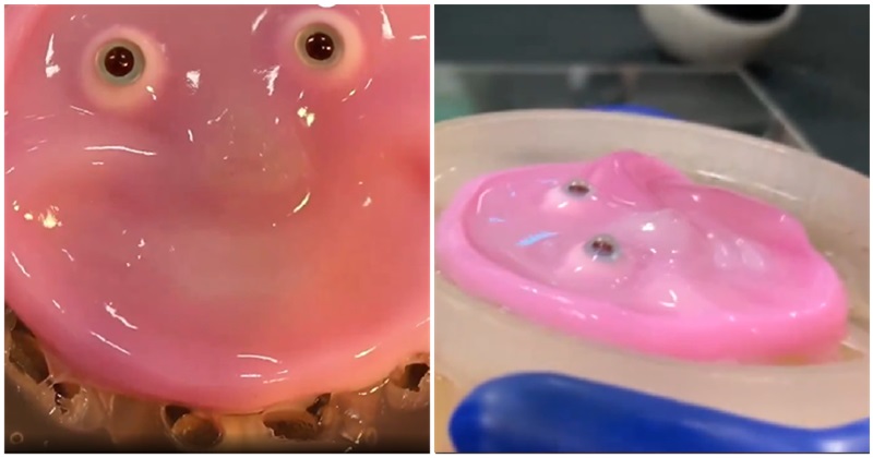 There's not enough Nope in the world for this bright pink, Black ...